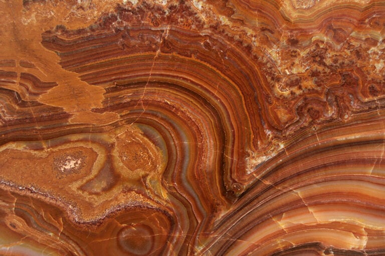 Alabastro: tipi, caratteristiche, colori e utilizzi | Dedalo Stone