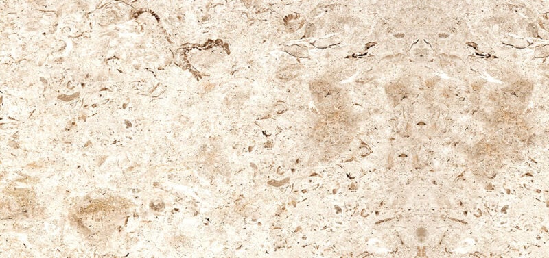 Aurisina Fiorita Marble | Dedalo Stone